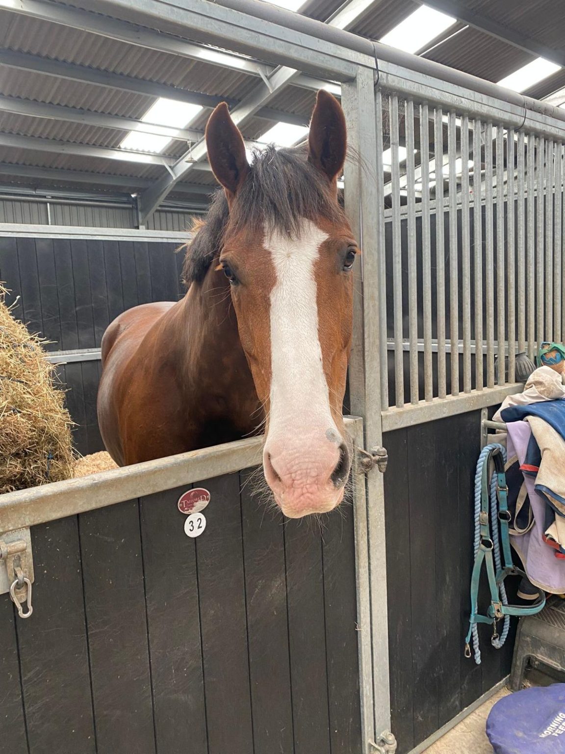 Byley Equestrian – Cheshire Livery Stables and Equestrian Facilities