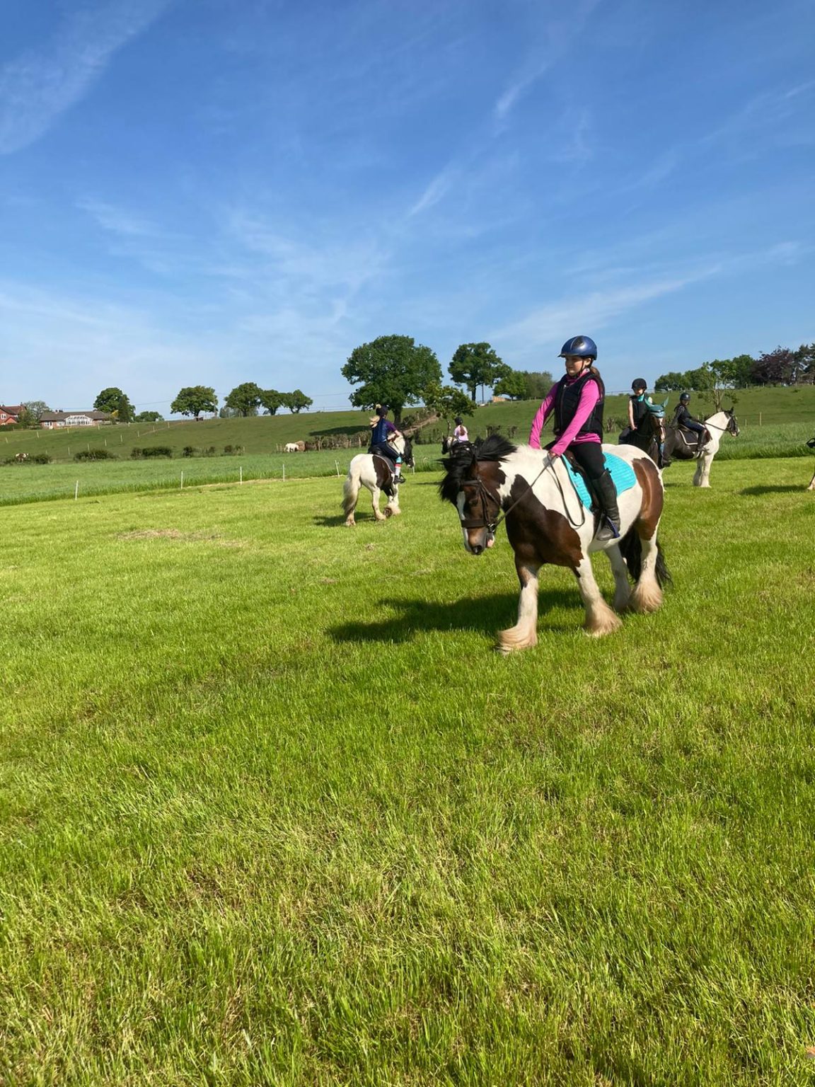 Our Facilities – Byley Equestrian